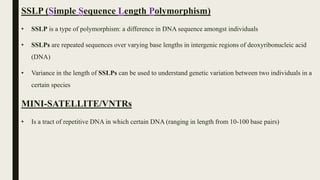 Gene mapping and DNA markers | PPTX