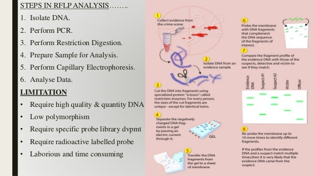 Gene mapping and DNA markers