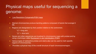 Gene mapping | PPT