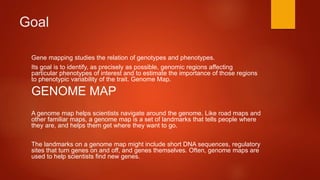 Gene mapping | PPTX