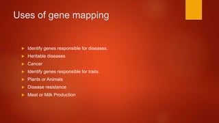 Gene mapping | PPT