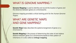 Gene mapping | PPTX