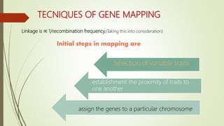 Gene mapping | PPTX