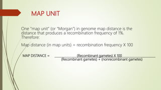 Gene mapping | PPTX