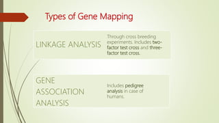 Gene mapping | PPTX