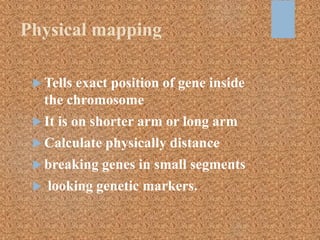 Gene mapping | PPT