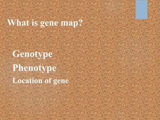 Gene mapping | PPT