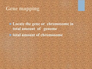 Gene mapping | PPT