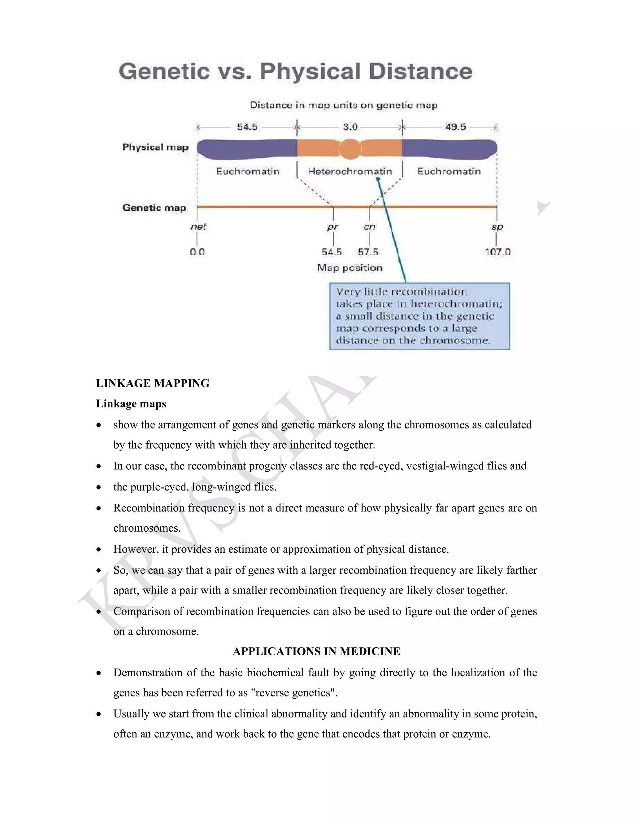 GENE MAPPING | PDF