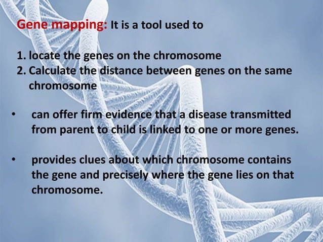 Gene mapping | PPTX | Genetics | Science