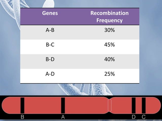 Gene mapping | PPTX | Genetics | Science
