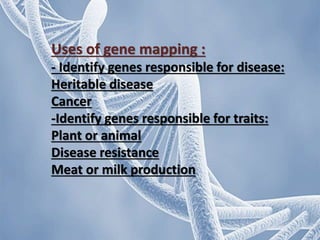Gene mapping | PPTX