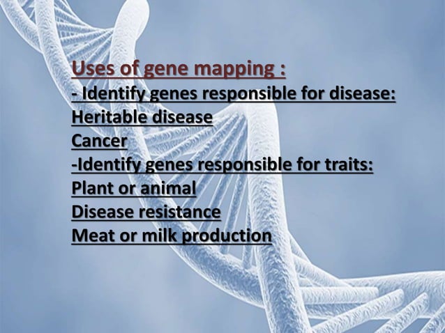 Gene mapping | PPTX | Genetics | Science