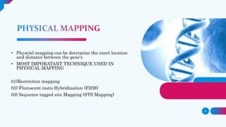 GENE MAPPING.pptx