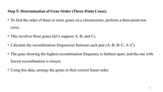 Gene Mapping, and Cloning of Disease Gene (CMB) | PPTX
