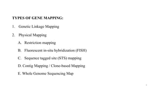 Gene Mapping, and Cloning of Disease Gene (CMB) | PPTX