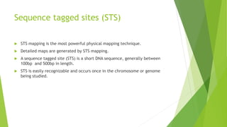 Gene mapping and cloning of disease gene | PPTX