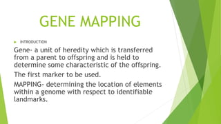 Gene mapping and cloning of disease gene | PPTX