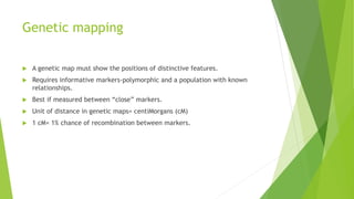 Gene mapping and cloning of disease gene | PPTX