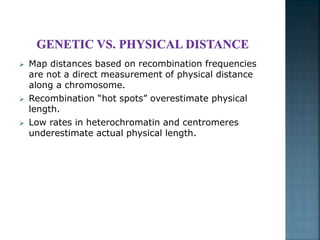 Gene mapping and gene cloning | PPTX