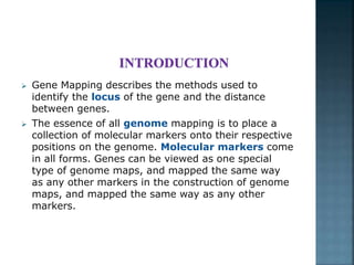 Gene mapping and gene cloning | PPTX