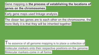 Gene mapping and its sequence | PDF