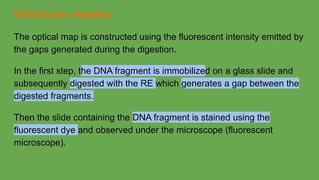 Gene mapping and its sequence | PDF | Genetics | Science