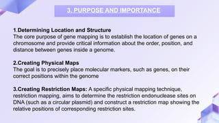 GENE MAPPING AND SEQUENCING )-1.pptx... | PPTX