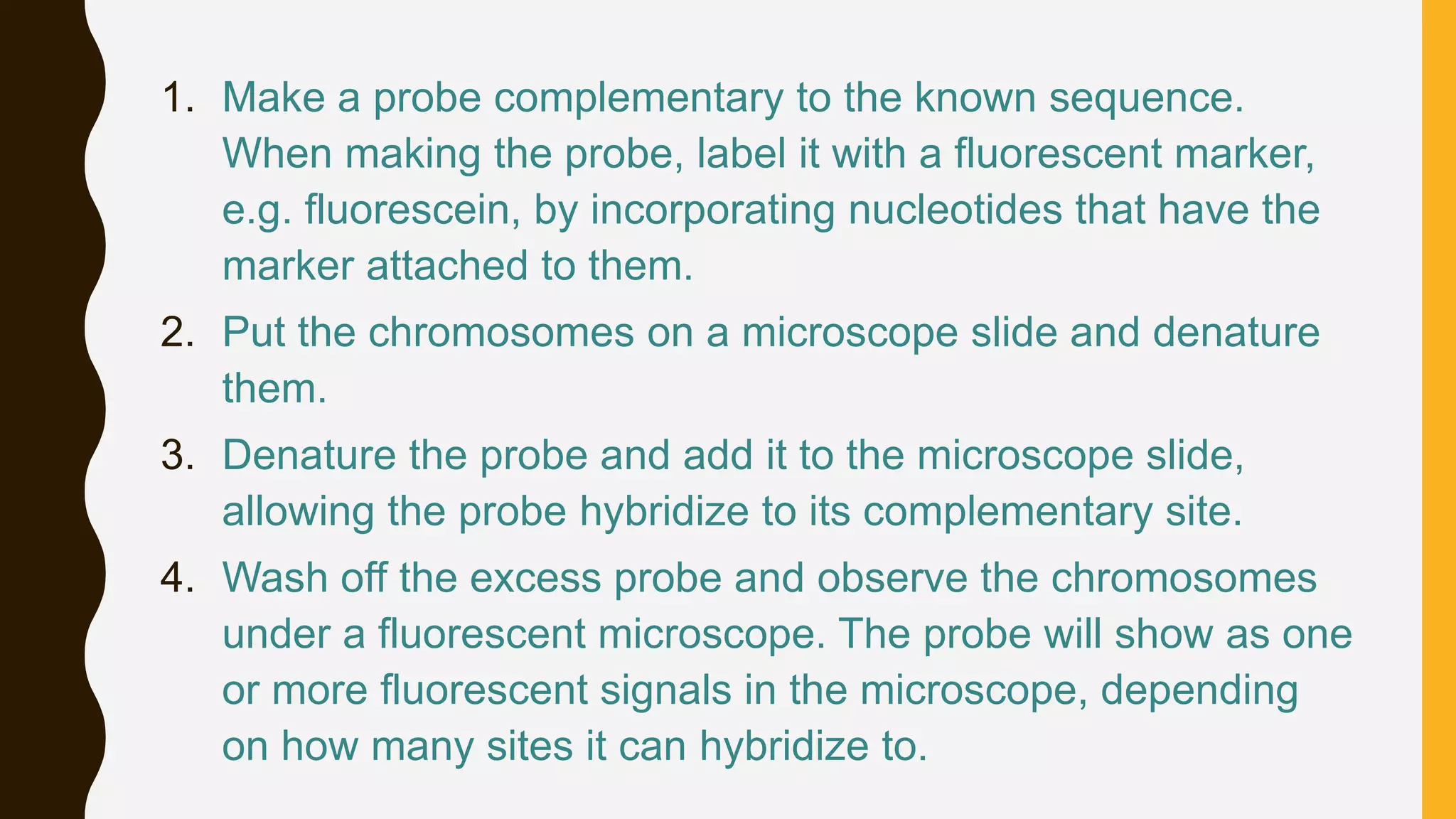 Gene mapping and sequencing | PPTX