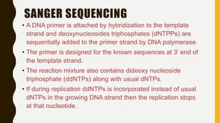 Gene mapping and sequencing | PPTX