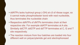 Gene mapping and sequencing | PPTX