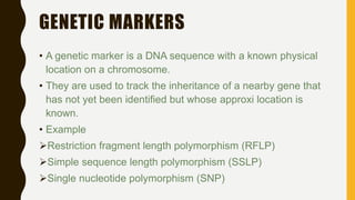 Gene mapping and sequencing | PPTX