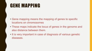 Gene mapping and sequencing | PPTX