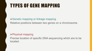 Gene mapping and sequencing | PPTX