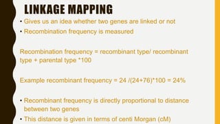 Gene mapping and sequencing | PPTX