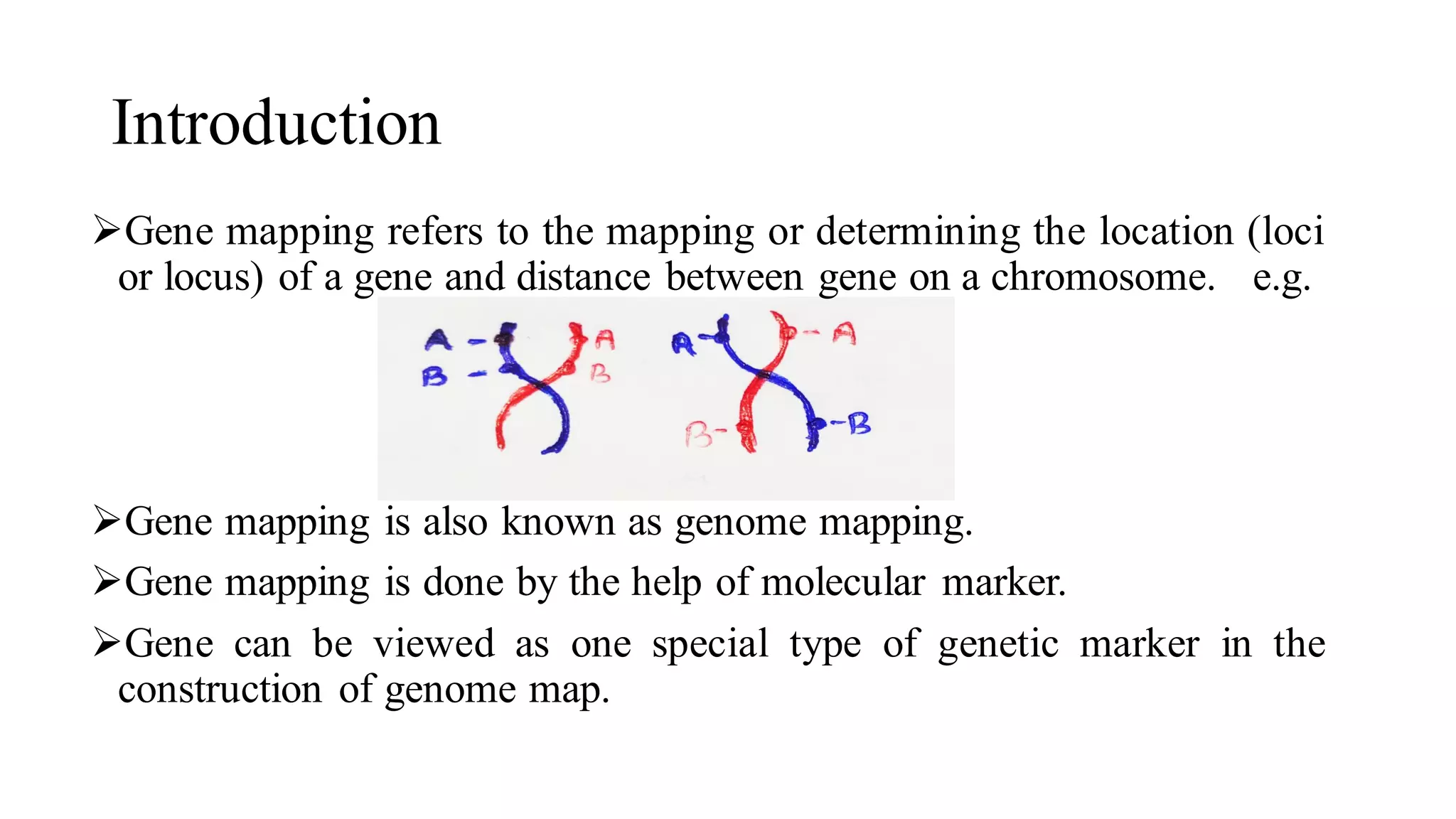 Gene Mapping.pdf