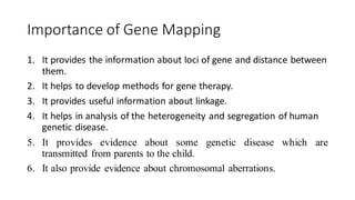 Gene Mapping.pdf