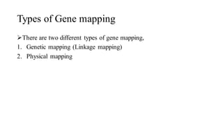 Gene Mapping.pdf