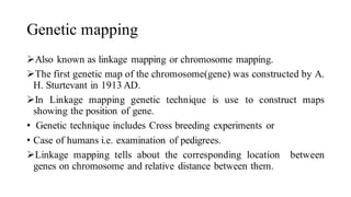Gene Mapping.pdf