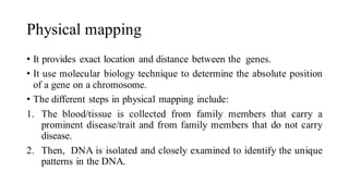 Gene Mapping.pdf