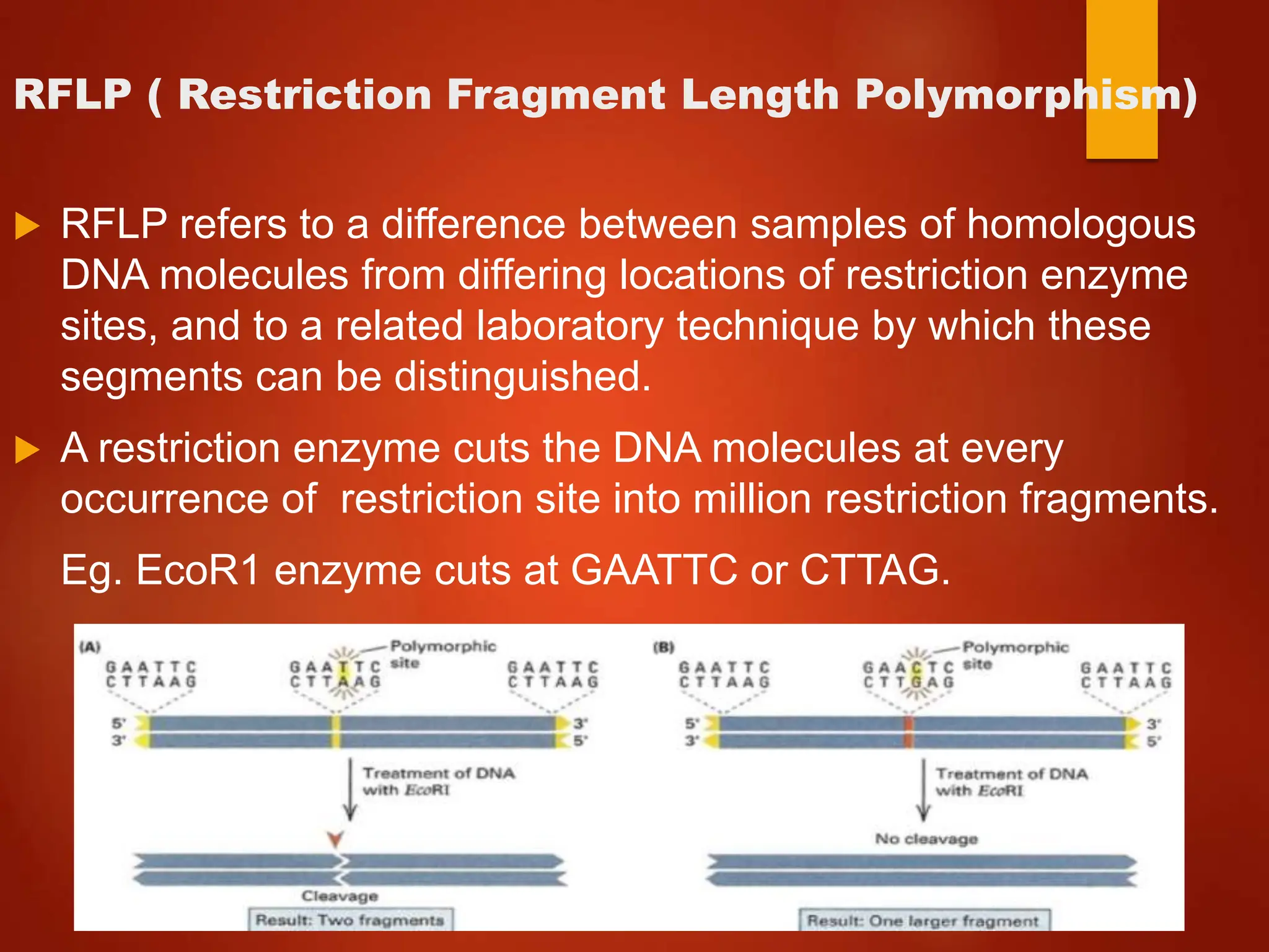 gene mapping, clonning of disease gene(1).pptx