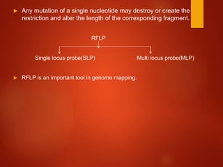 gene mapping, clonning of disease gene(1).pptx