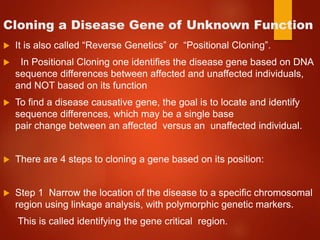 gene mapping, clonning of disease gene(1).pptx