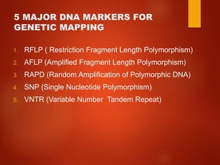 gene mapping, clonning of disease gene(1).pptx