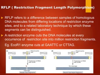 gene mapping, clonning of disease gene(1).pptx