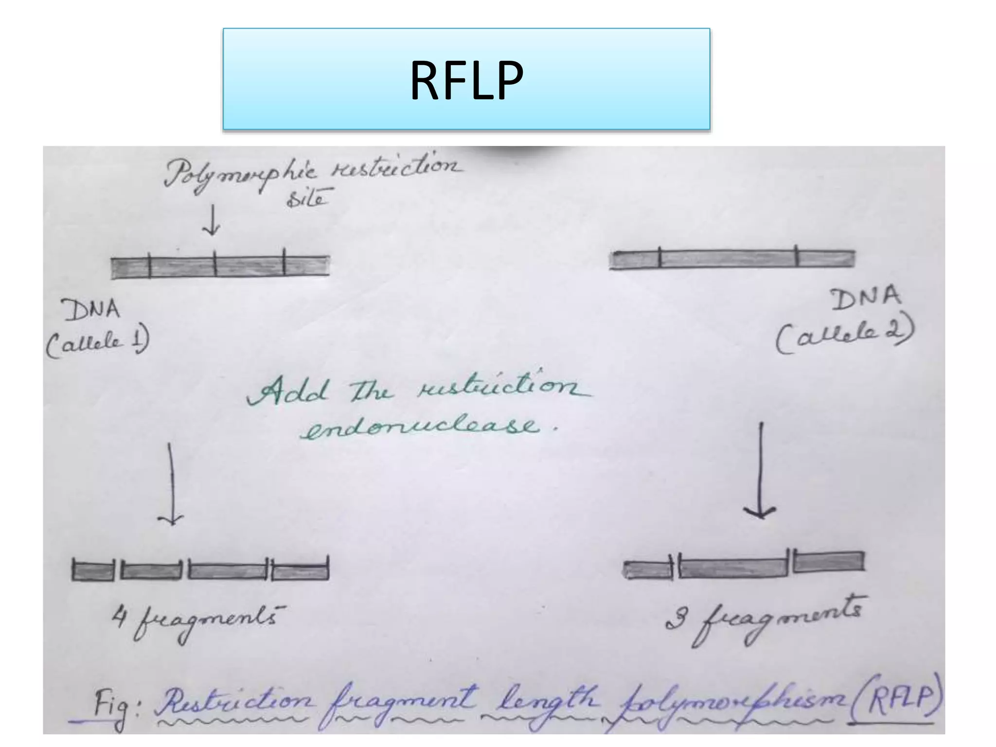 Gene mapping methods | PPTX