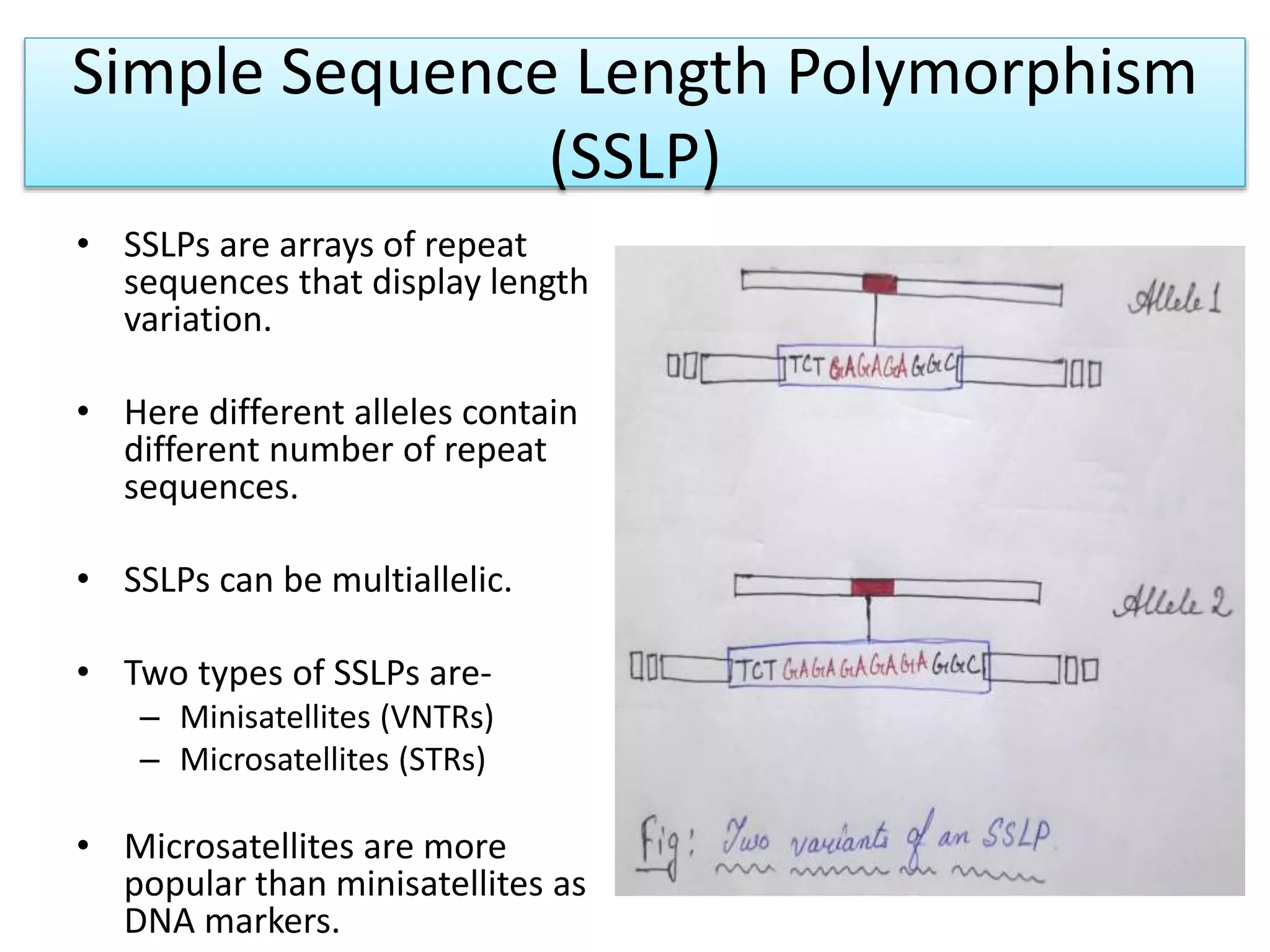 Gene mapping methods | PPTX