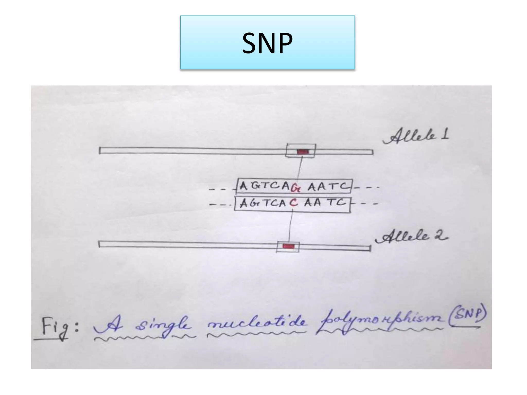 Gene mapping methods | PPTX