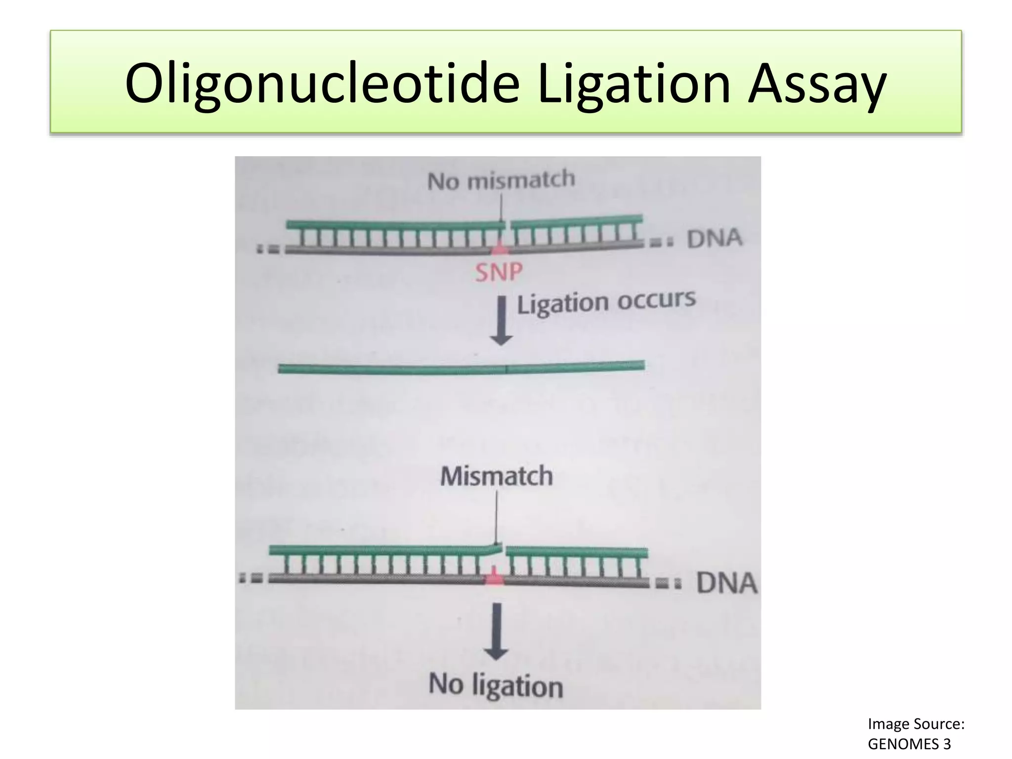 Gene mapping methods | PPTX
