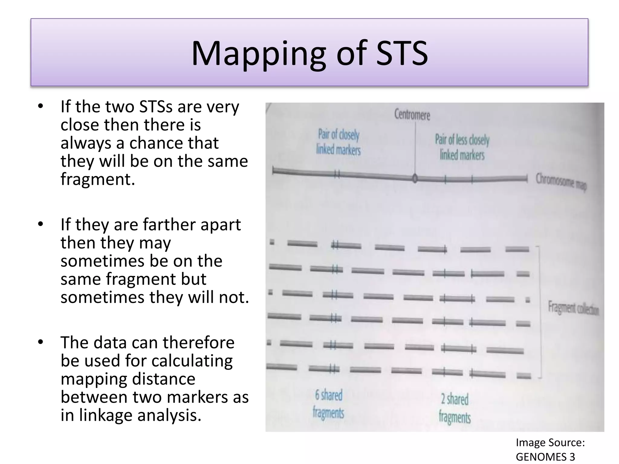 Gene mapping methods | PPTX
